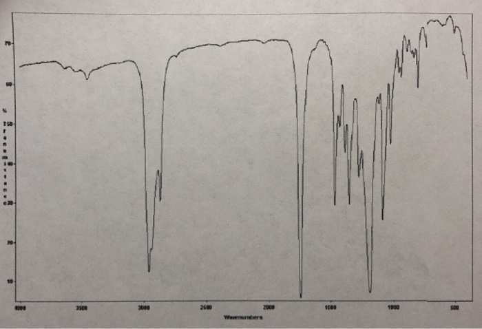 Solved What are the major functional groups of butyl | Chegg.com