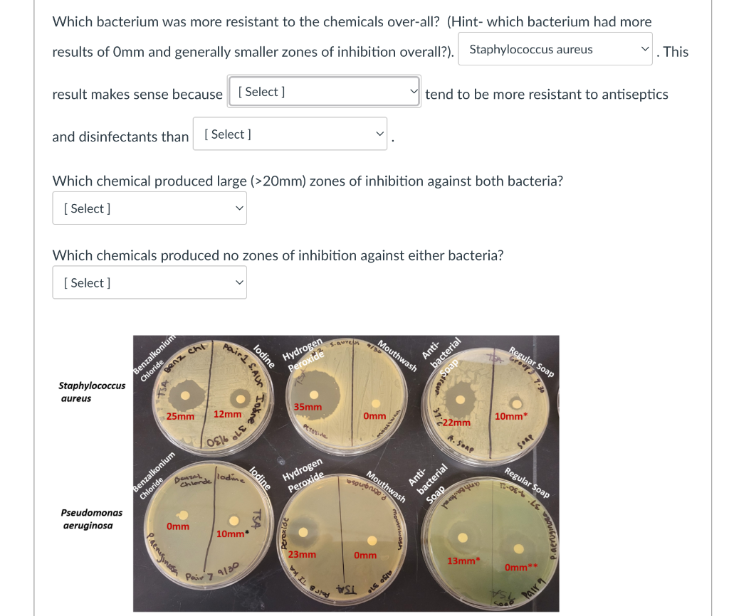Solved drop down options. 1. staphlococcus aureus/ | Chegg.com