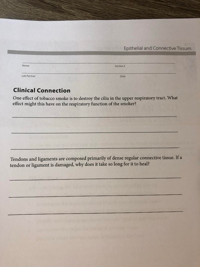 Solved Epithelial and Connective Tissues Name Section A Lab | Chegg.com