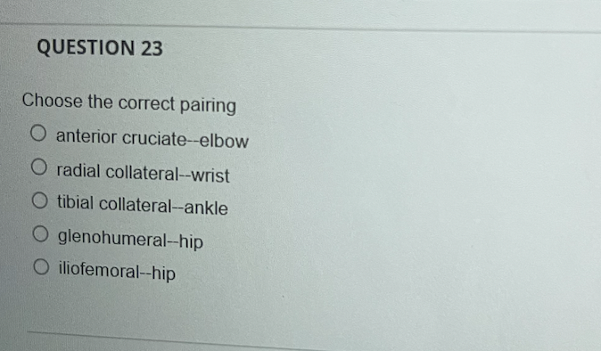 Solved QUESTION 23 Choose the correct pairing O anterior | Chegg.com