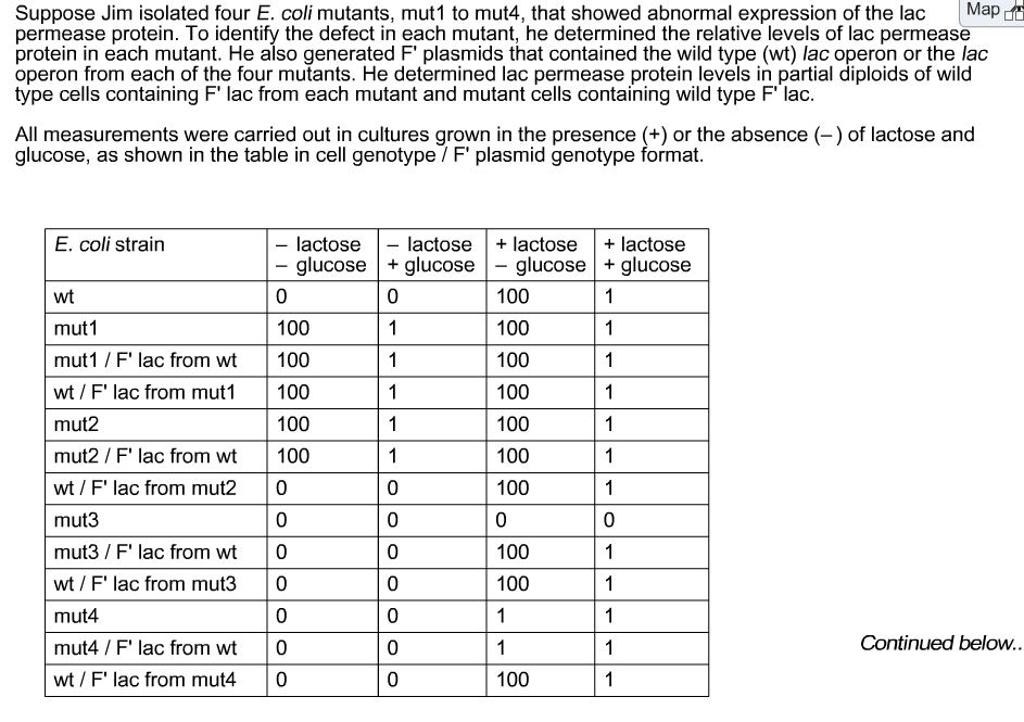 Solved Suppose Jim isolated four E. coli mutants, mut1 to | Chegg.com