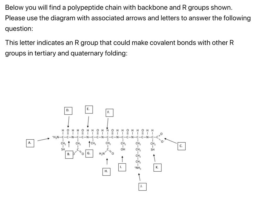 Solved Below you will find a polypeptide chain with backbone | Chegg.com