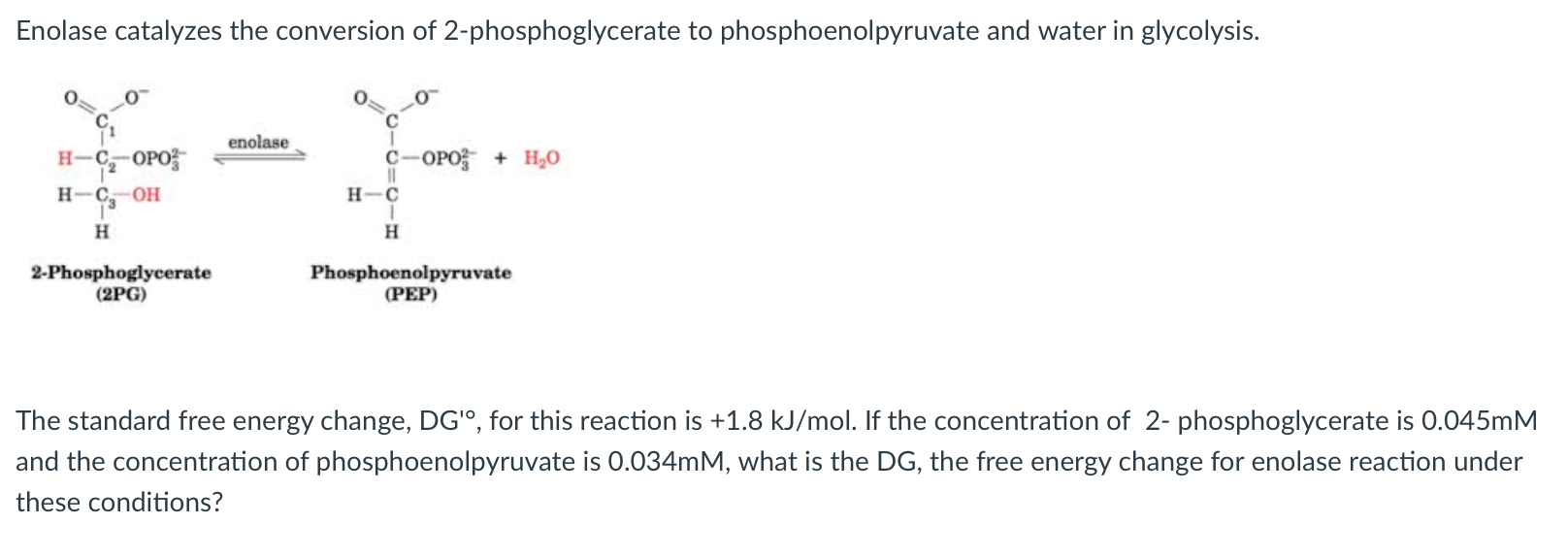 Solved Enolase catalyzes the conversion of | Chegg.com