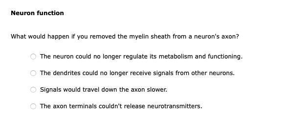 Solved Neuron function What would happen if you removed the | Chegg.com Solved Neuron function What would happen if you removed the | Chegg.com