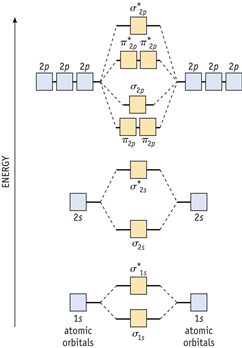 Solved The molecular orbital diagram below may be used for | Chegg.com