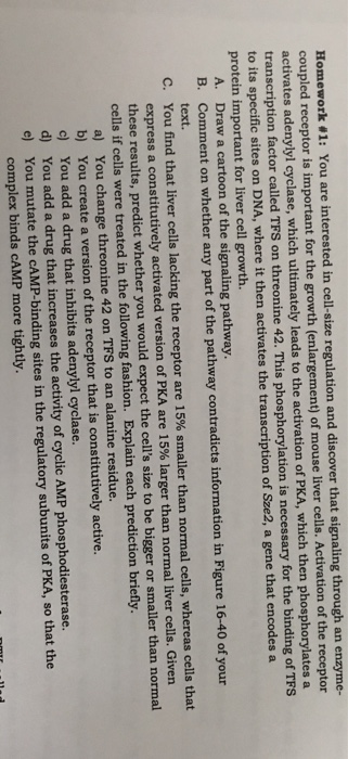 Solved Homework #1: You are interested in cell-size | Chegg.com