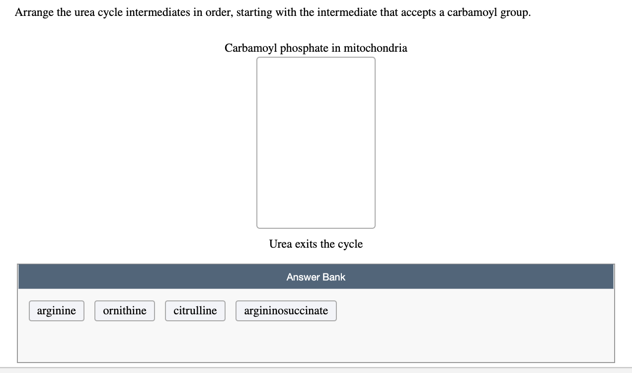 Solved Label each of the intermediates in the urea cycle. | Chegg.com
