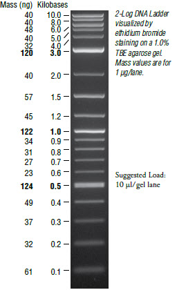 Solved ) | Chegg.com