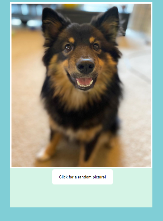 Solved CODING JAVA/HTML API HELP: First I will include the | Chegg.com