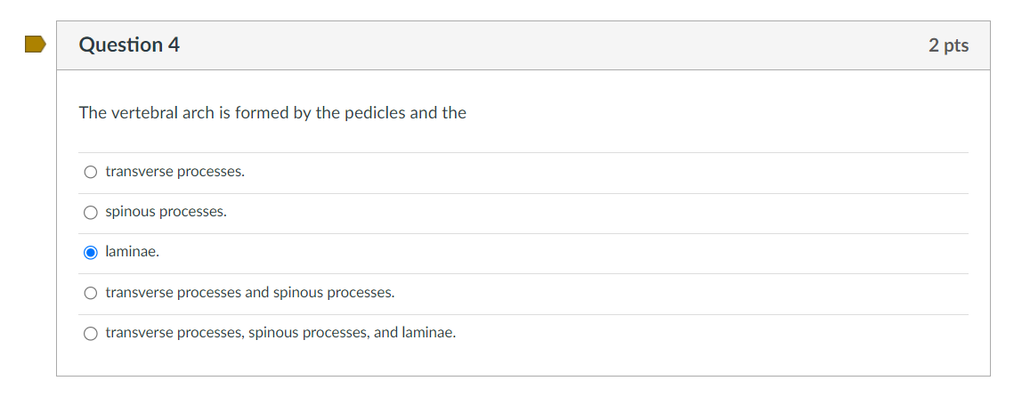 Solved Question 4 2 pts The vertebral arch is formed by the | Chegg.com