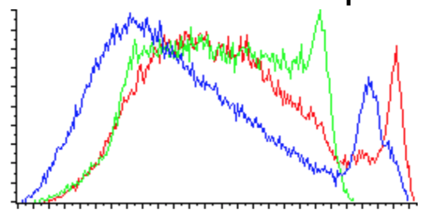 Solved Using Java create a histogram from scratch | Chegg.com