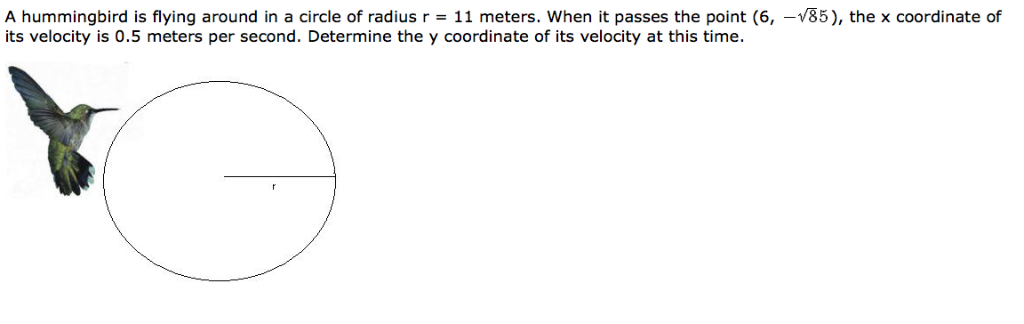 Solved A hummingbird is flying around in a circle of radius | Chegg.com
