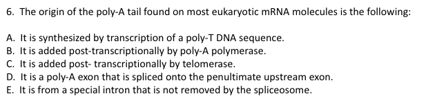 Solved 6. The origin of the poly-A tail found on most | Chegg.com