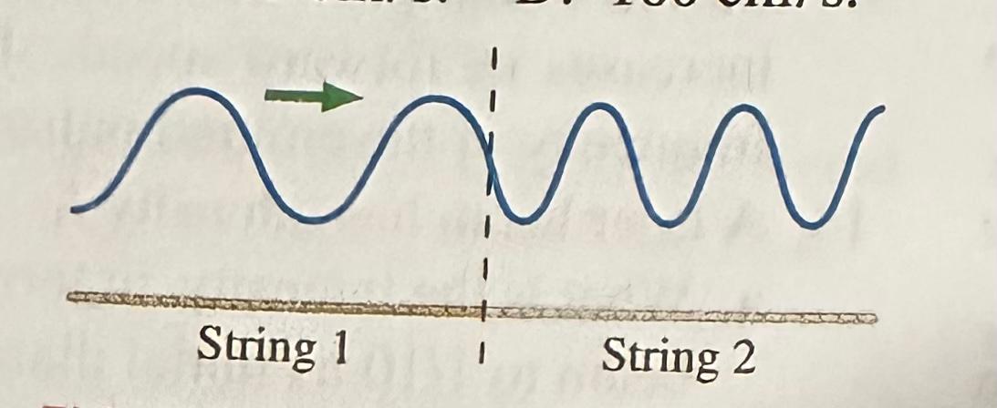 Solved Which string has the larger linear density? Explain | Chegg.com