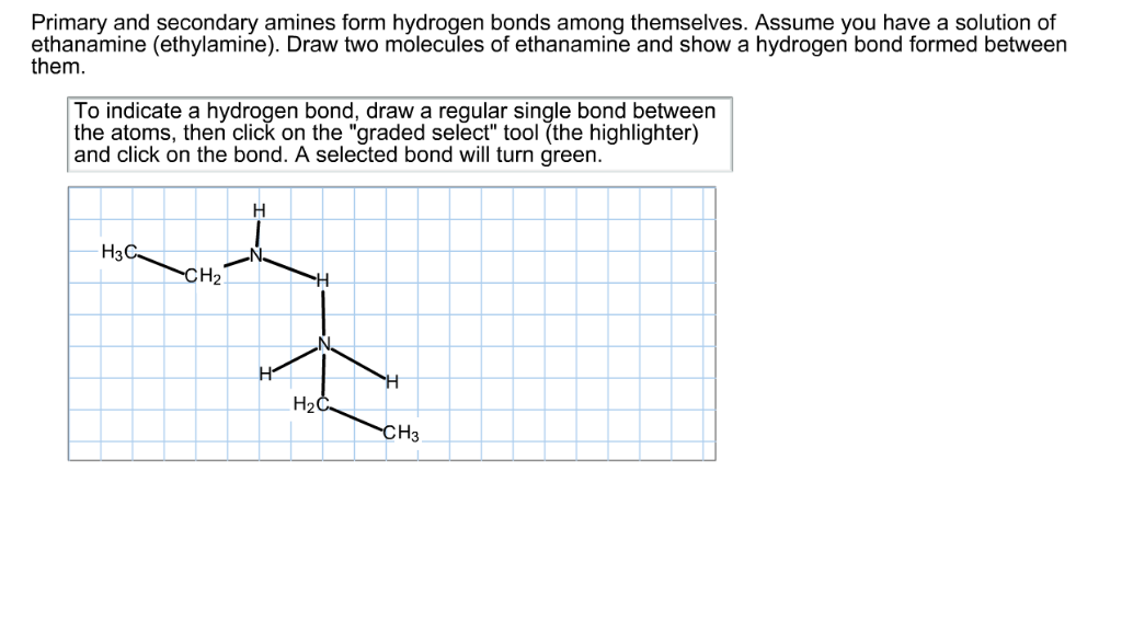 Solved Primary and secondary amines form hydrogen bonds | Chegg.com