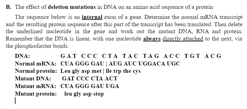 Solved So- All that is in the Central Dogma lab is a 5B, | Chegg.com