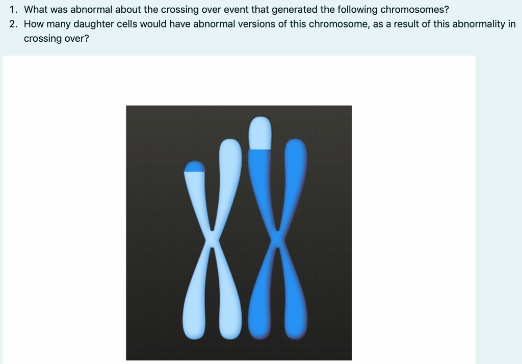 Solved 1. What was abnormal about the crossing over event | Chegg.com