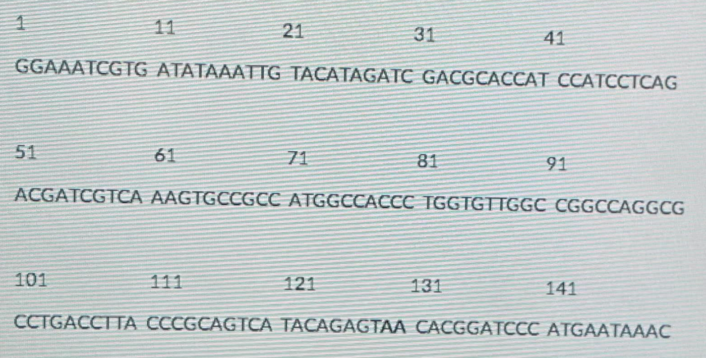 Solved The DNA sequence below comes from the coding strand | Chegg.com