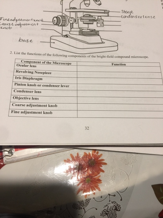 Solved enserlense Fineodpstmentvnok tment nok bas e 2. List | Chegg.com