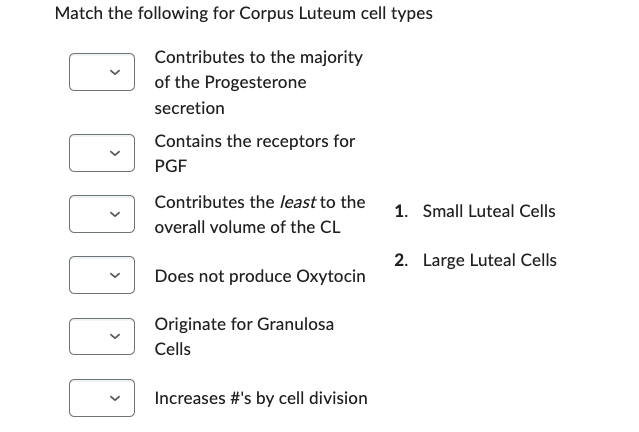 Solved Match the following for Corpus Luteum cell types | Chegg.com