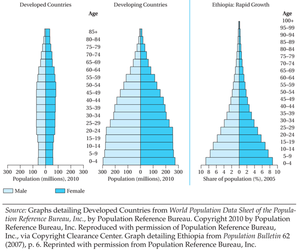 Solved Based on the population pyramids graph below, which | Chegg.com