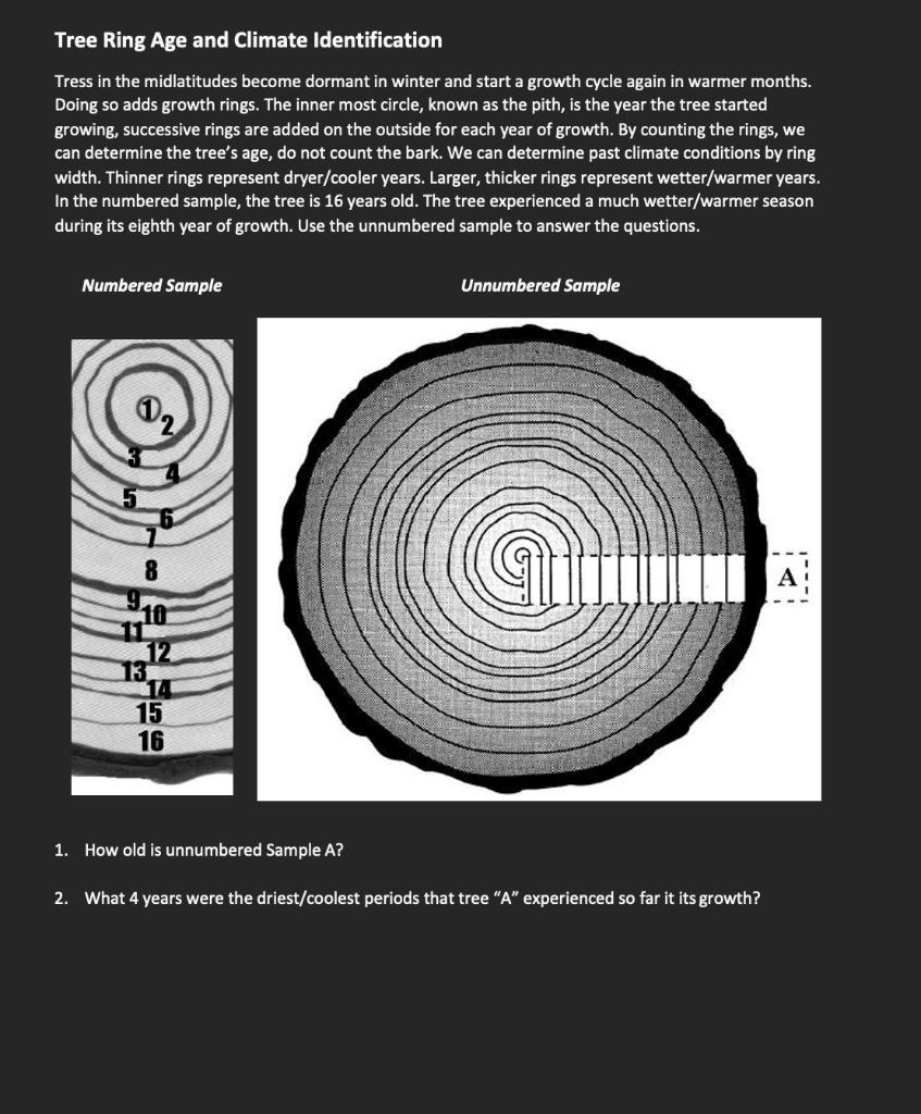 Solved Tree Ring Age and Climate Identification Tress in the | Chegg.com