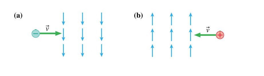 Solved What is the initial direction of deflection for the | Chegg.com