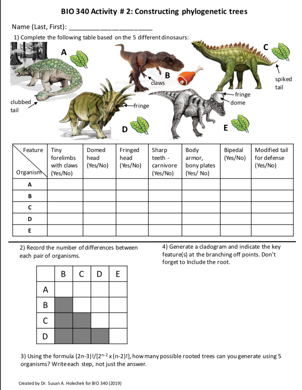 Solved BIO 340 Activity 2 Constructing Phylogenetic Trees Chegg