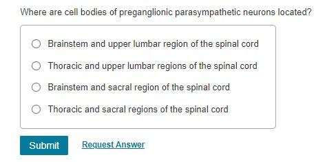 Solved Where are cell bodies of preganglionic | Chegg.com