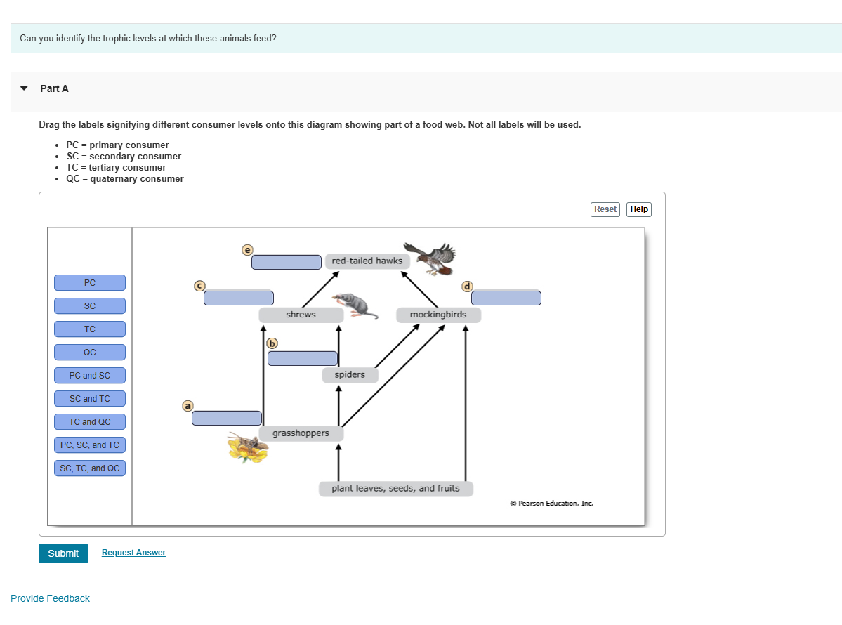 Solved Can you identify the trophic levels at which these | Chegg.com