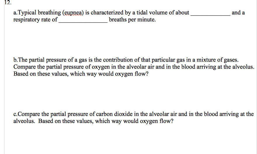 Solved 12. a.Typical breathing (eupnea) is characterized by | Chegg.com