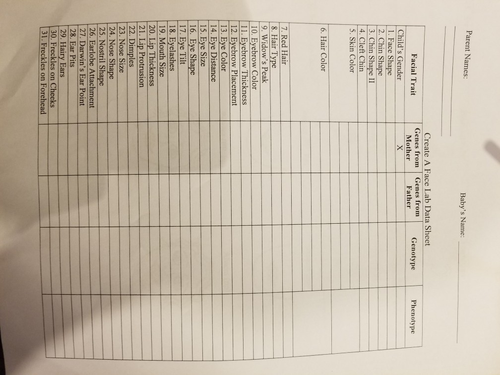 Solved Create a Face Lab Introduction: Why do people look so | Chegg.com