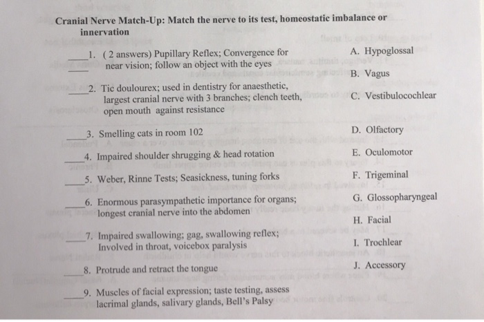 Solved Cranial Nerve Match-Up: Match the nerve to its test, | Chegg.com