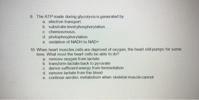 Solved 9. The ATP made during glycolysis is generated by a. | Chegg.com