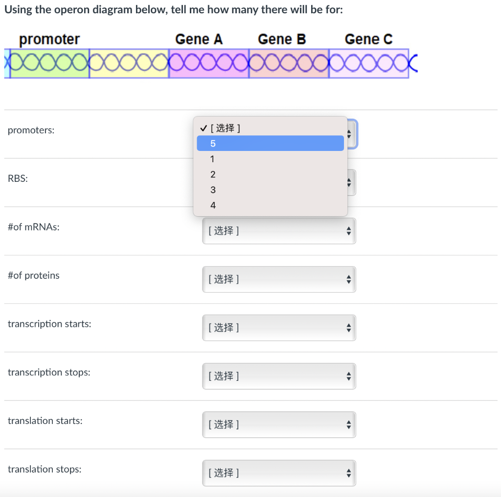 Solved Using the operon diagram below, tell me how many | Chegg.com