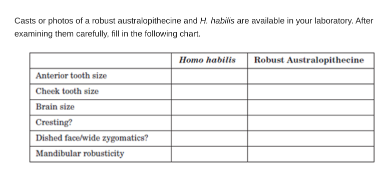 Solved Casts or photos of a robust australopithecine and H. | Chegg.com