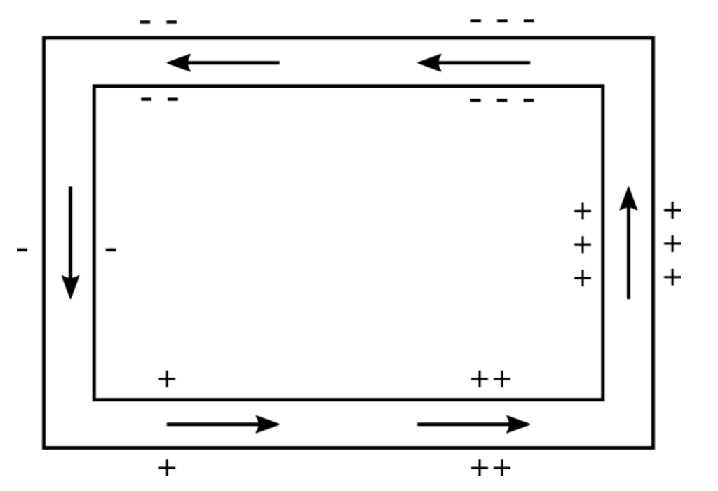 Solved The following is an explanation for what the curly | Chegg.com