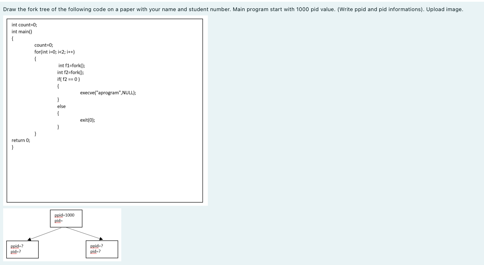 Solved Draw the fork tree of the following code on a paper | Chegg.com