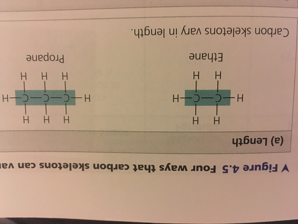 Solved See figures 4.5a and 4.7. Can propane (C3H8) form | Chegg.com