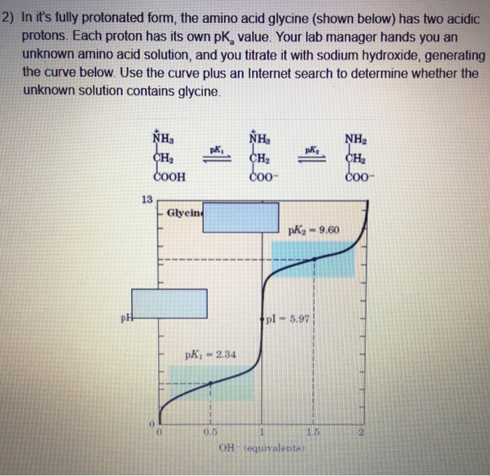Solved 2) In it's fully protonated form, the amino acid | Chegg.com