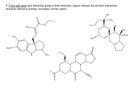 Solved P. Circle and name each functional group in both | Chegg.com