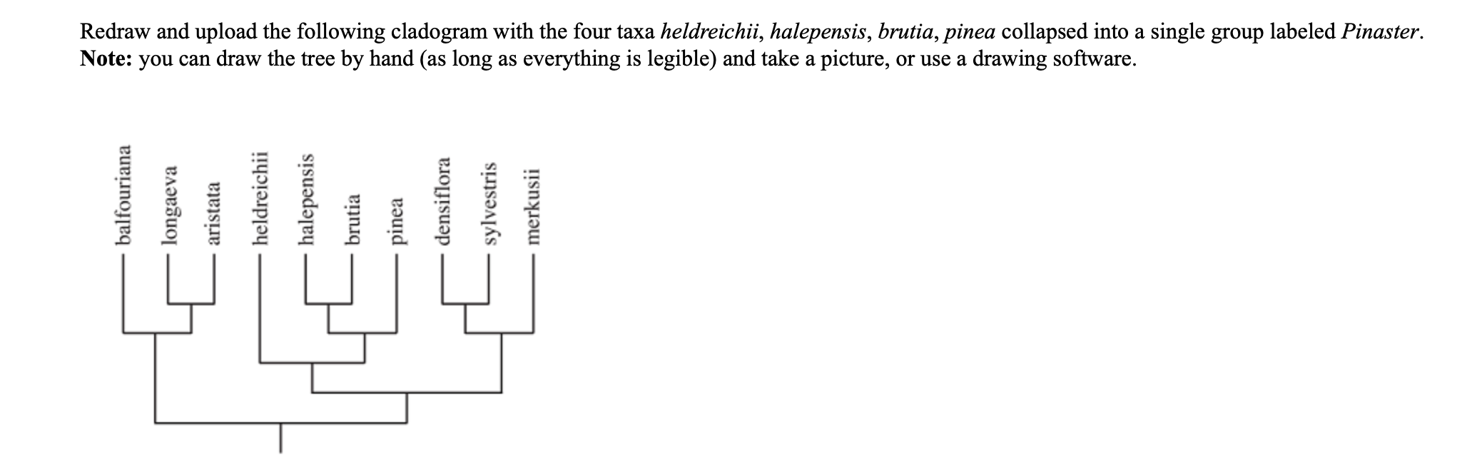 Solved Redraw and upload the following cladogram with the | Chegg.com