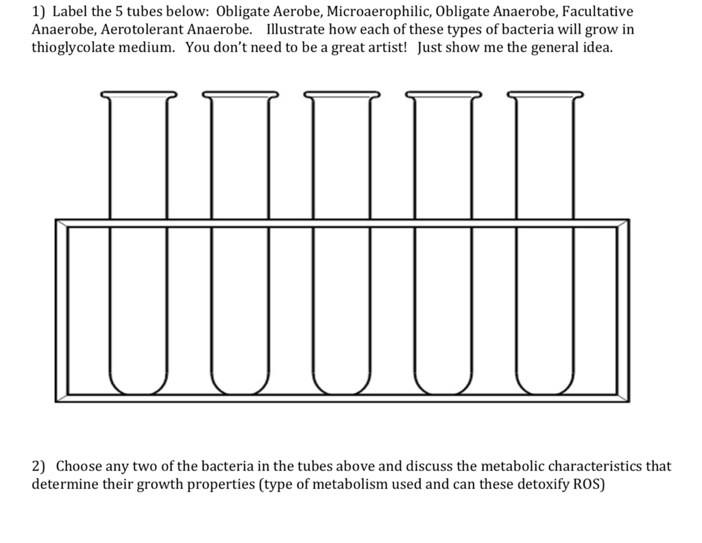 Solved 1) Label the 5 tubes below: Obligate Aerobe, | Chegg.com