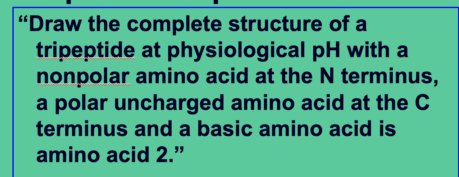 Solved "Draw the complete structure of a tripeptide at | Chegg.com
