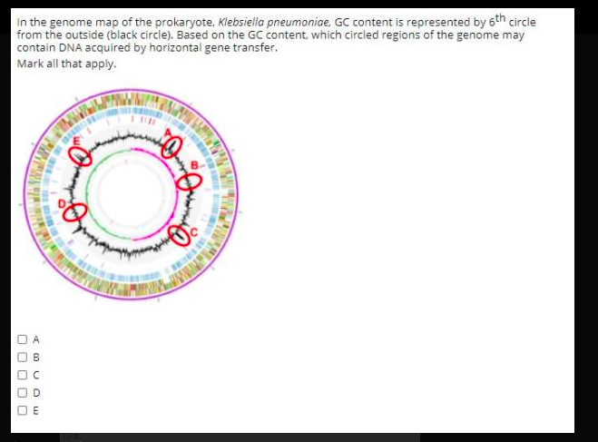 Solved in the genome map of the prokaryote, Klebsiella | Chegg.com