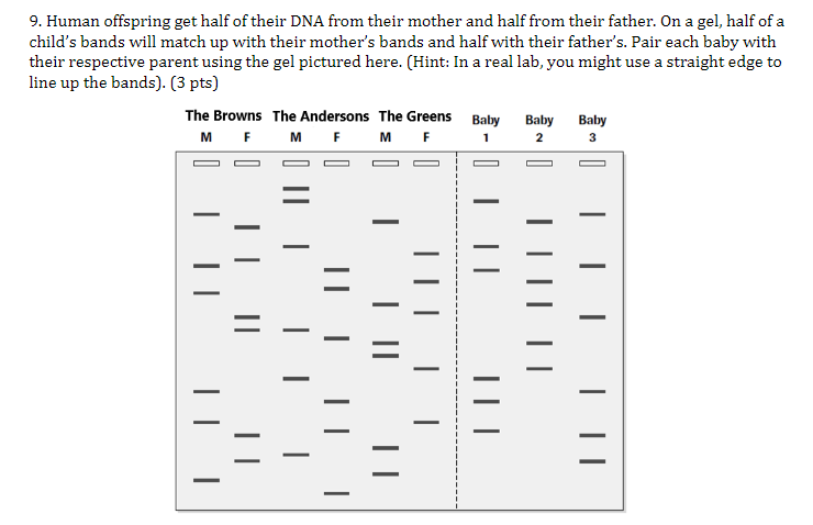 Solved 9. Human offspring get half of their DNA from their | Chegg.com