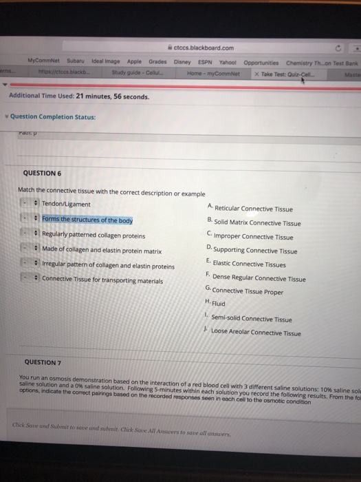 Solved ct MyCommNet Subaru Ideal Image Apple Grades Disney | Chegg.com
