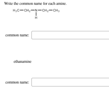Solved Write the systematic (IUPAC) names for the amines. | Chegg.com