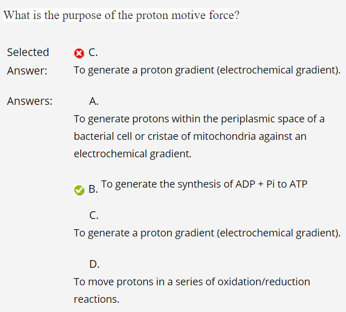 Solved What is the purpose of the proton motive force? X C. | Chegg.com