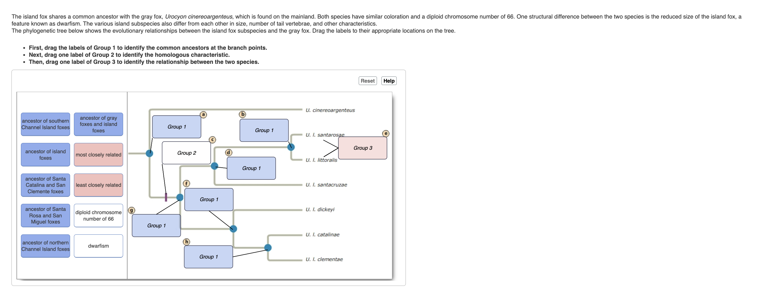 Solved feature known as dwarfism. The various island | Chegg.com